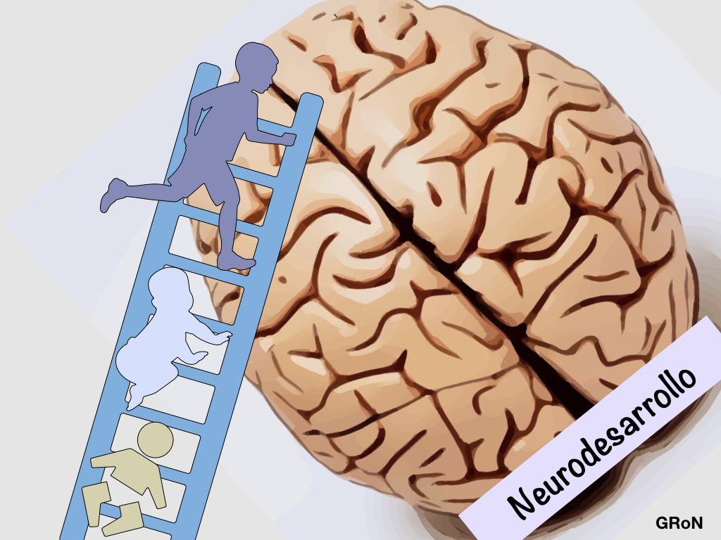 TRASTORNOS DEL NEURODESARROLLO