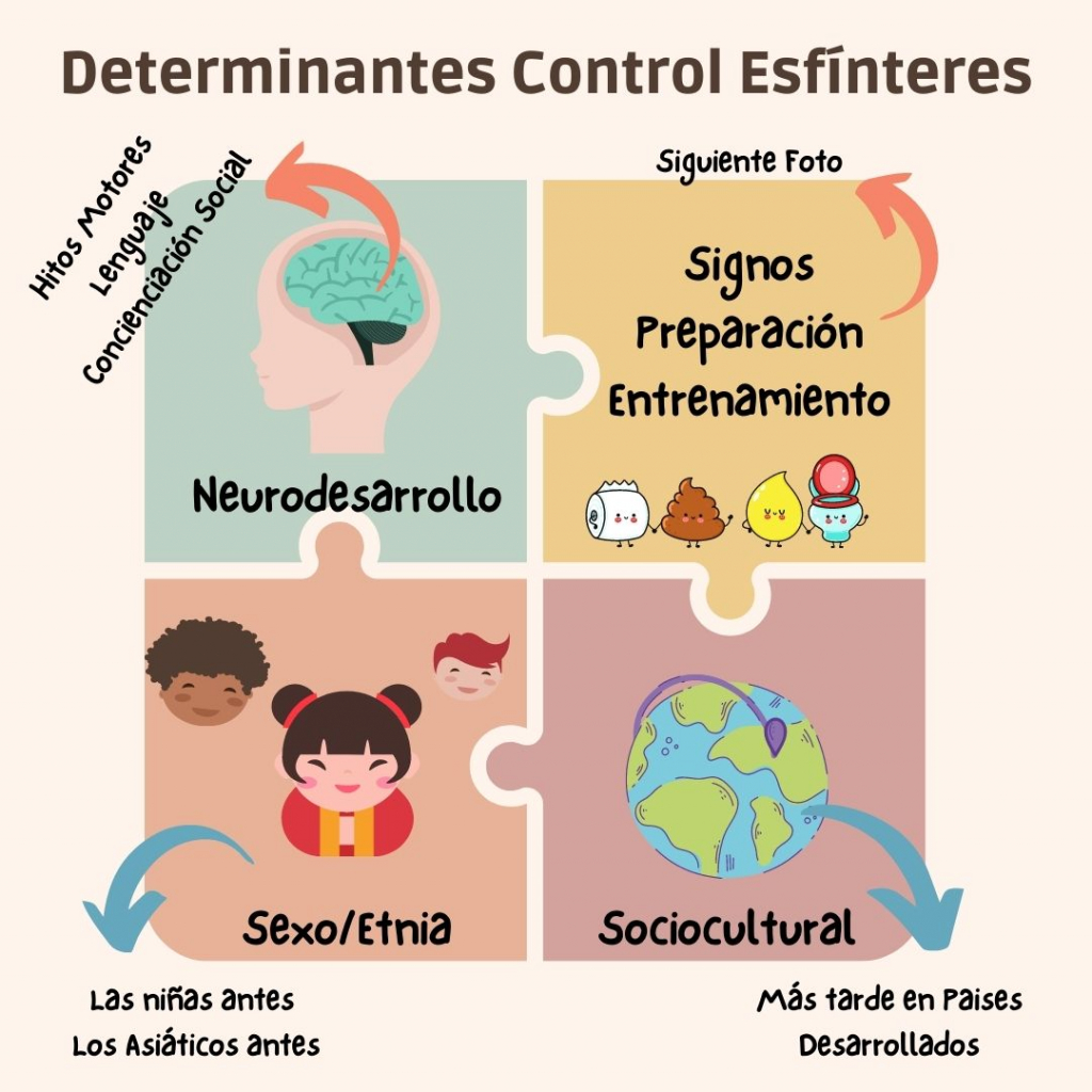 Control de esfínteres: cómo, cuándo, donde y por qué. – Neuropediatría ...